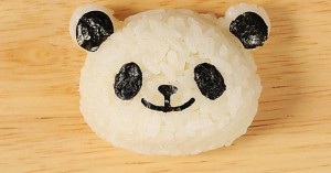 Panda Sushi Face - Cool Gifting